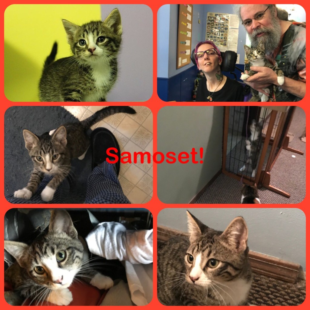 The Story Of Samoset – Disciplining With Gentle Firmness